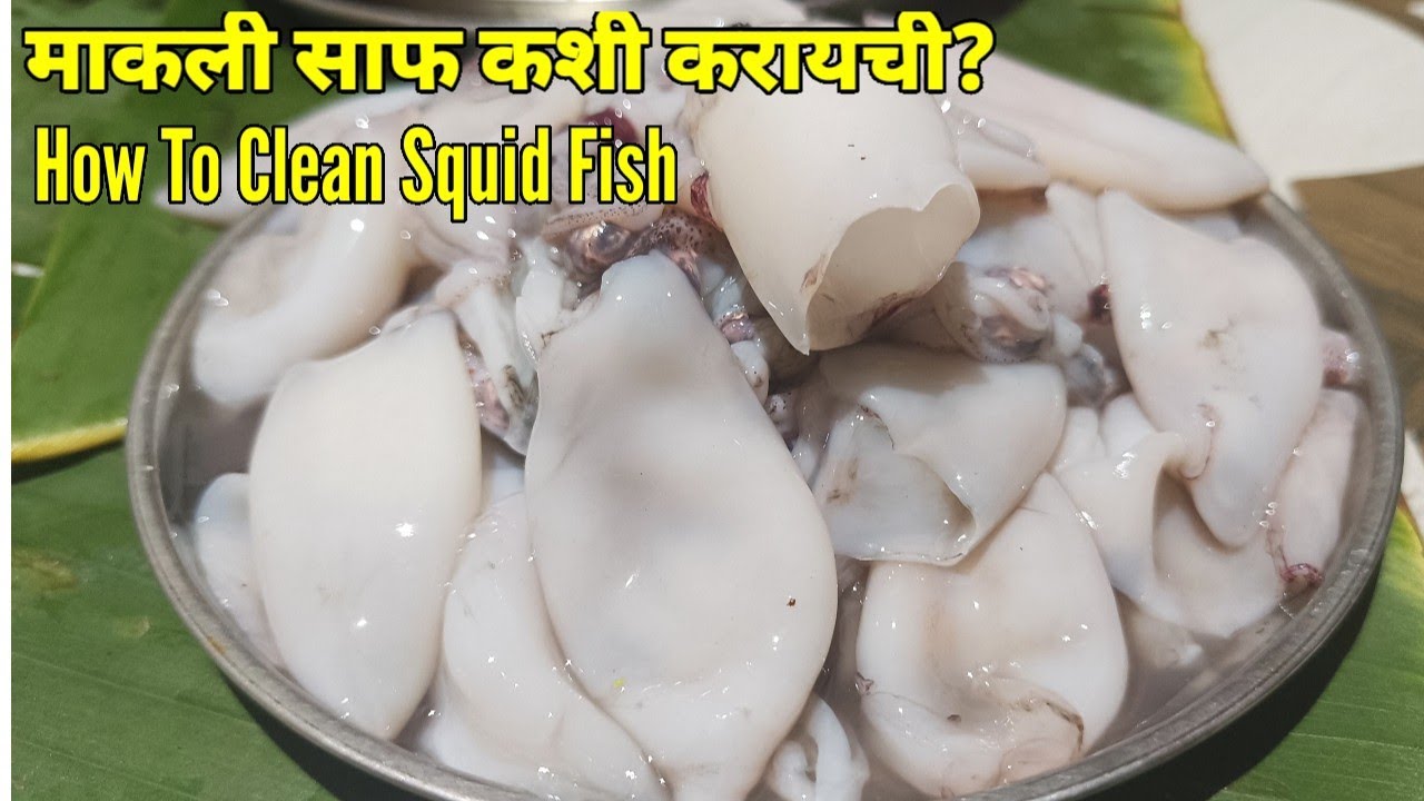 माकली साफ कशी करायची | How To Clean Squid Fish | स्क्वीड को कैसे साफ ...