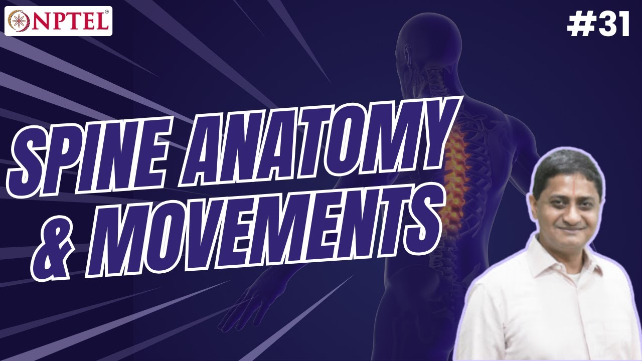 #31 Spine Anatomy & Movements | Biomechanics - YouTube