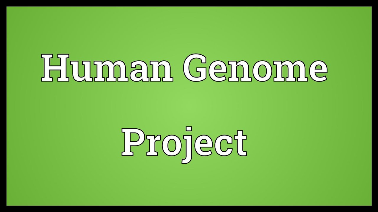 Human Genome Project Meaning - YouTube