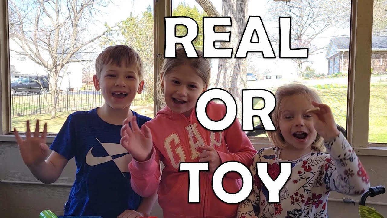 Real or Toy - YouTube