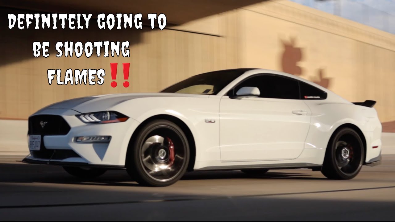 Tuning My 2019 Mustang GT with Auto Mafia Racing! - YouTube