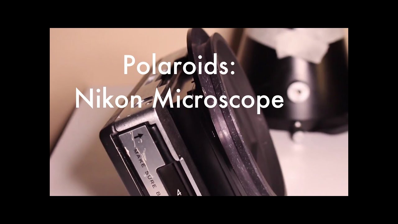 Polaroids: Nikon Microscope Camera and Pinhole Project - YouTube