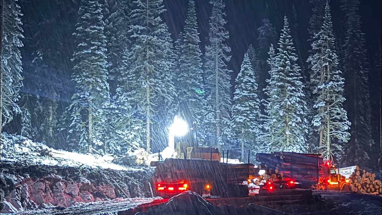 Logging supervisor day in the life - YouTube
