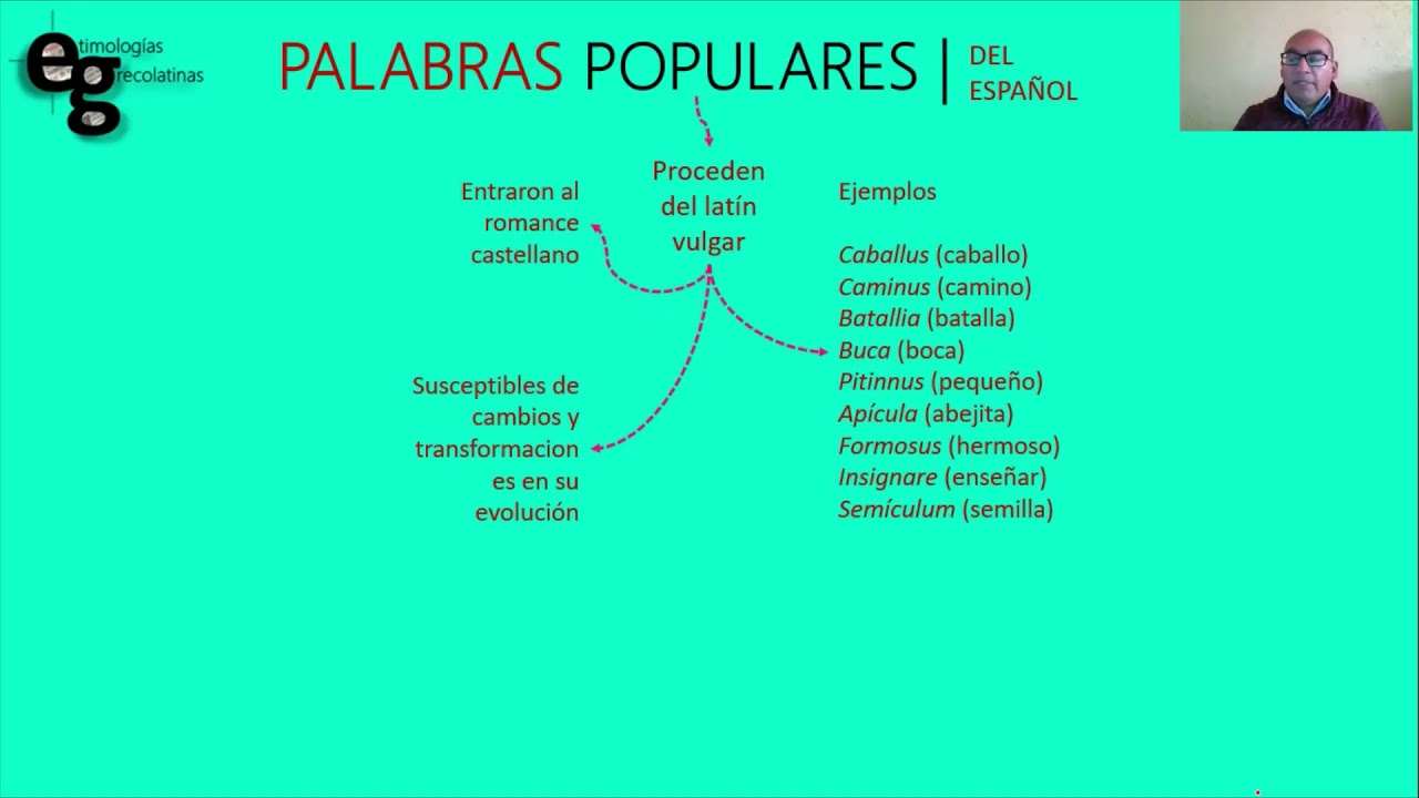 Palabras cultas y palabras populares del español - YouTube