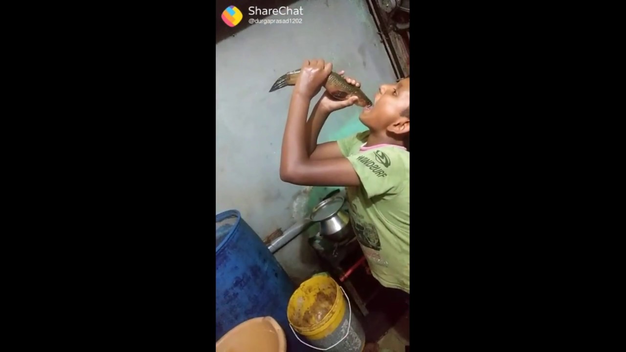 Boy eats alive fish whole - YouTube
