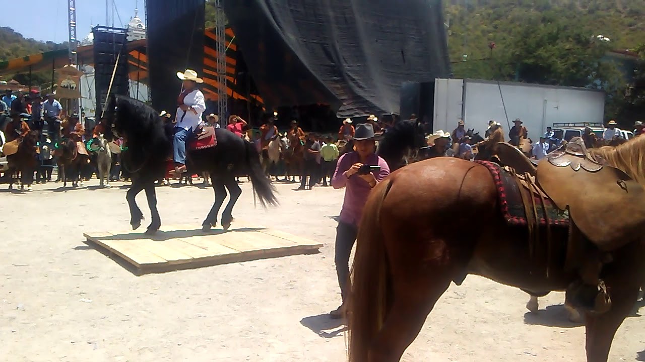 Santa María zoquitlan oax.cabalgata 8 de sep. 2019 - YouTube