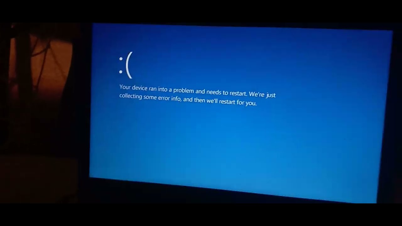 cat scared of tiger stuffed animal has BSOD - YouTube