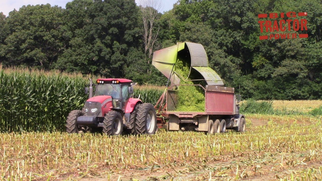 Chopping A Corn Field in a Square Pattern - YouTube