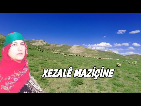 Xezale Mazi Çıne -Eyvax Maziya me kürtçe dertli duygulu yürekten okunan uzun hava