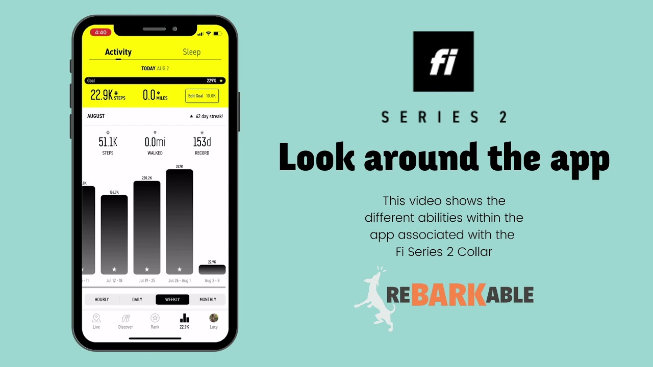 Inside the Fi Series 2 Tracking Collar App! - YouTube