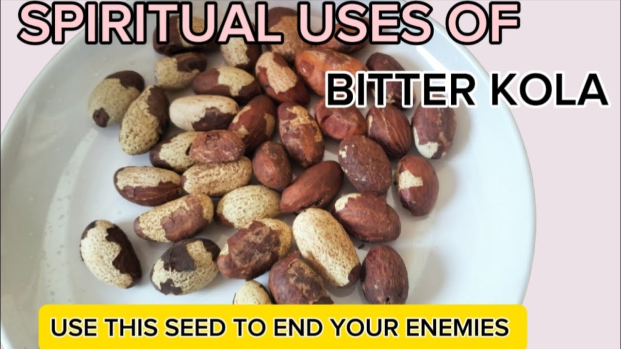 use this Seed to end your enemies tonight// SPIRITUAL USES OF BITTER ...