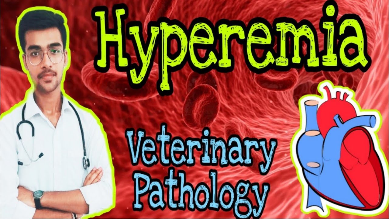 3.Hyperemia : Definition, Causes and Different types || Short notes ...