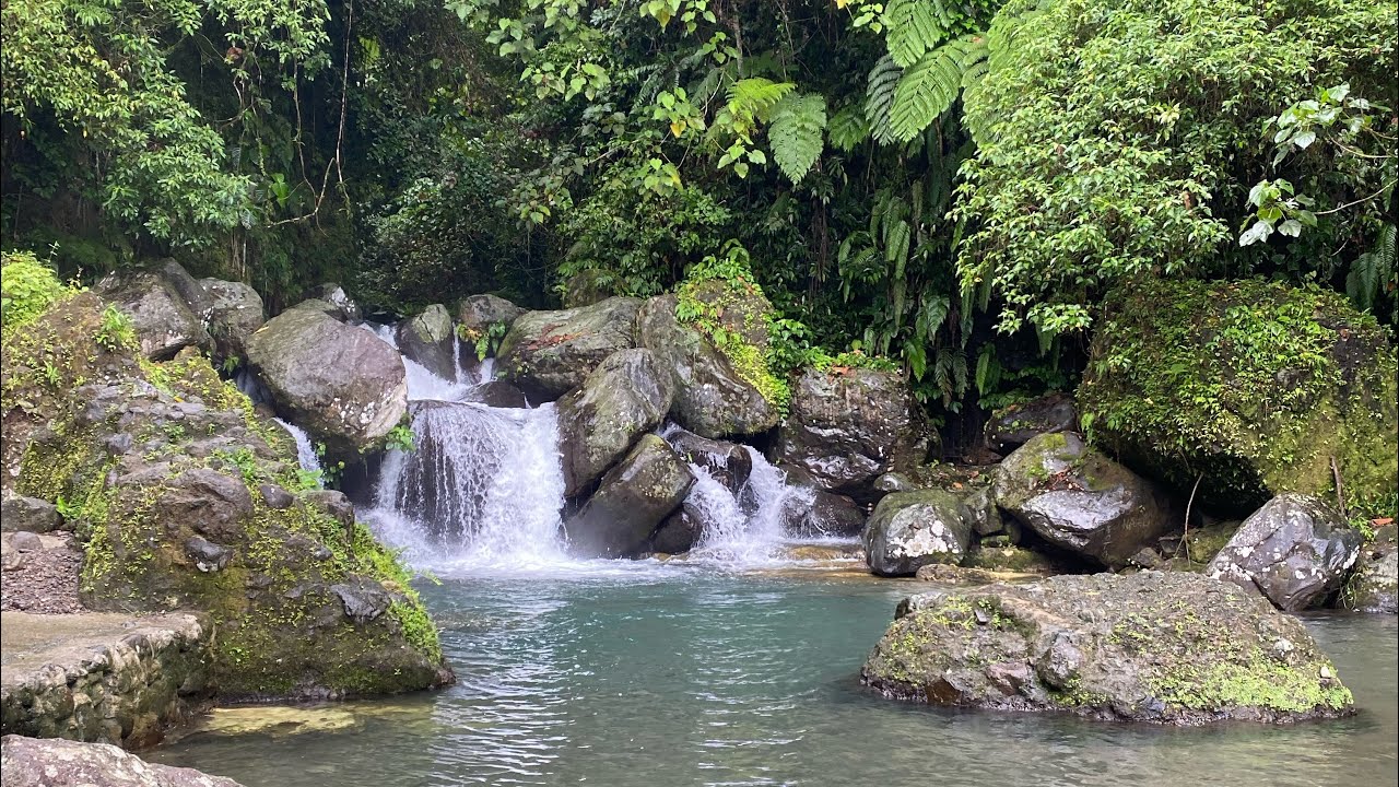 quick hike on a friday || sprite falls - YouTube