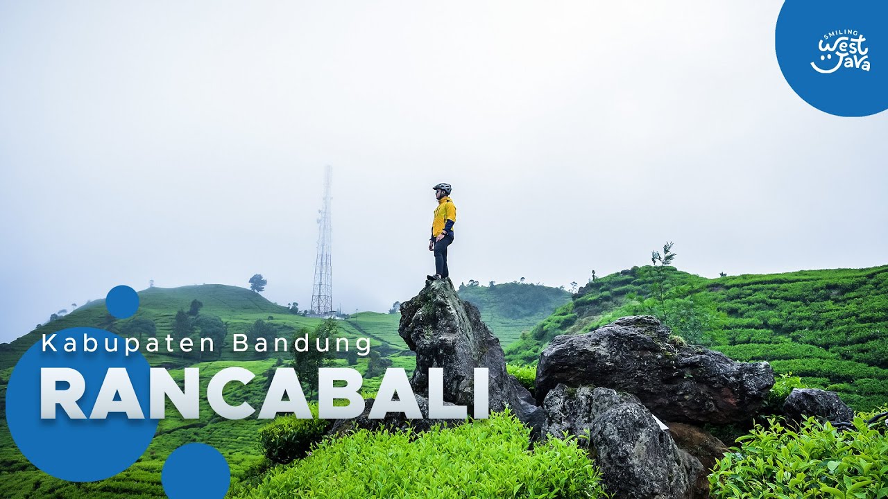 Indahnya Kebun Teh yang hijau di Rancabali Jawa Barat - YouTube