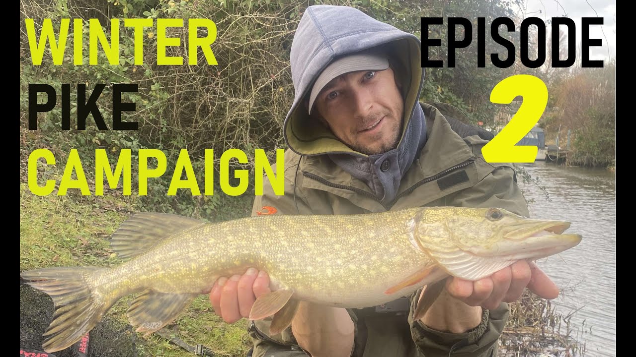 catching pike on paddle tails [LURE FISHING]#fishing#lurefishing# ...