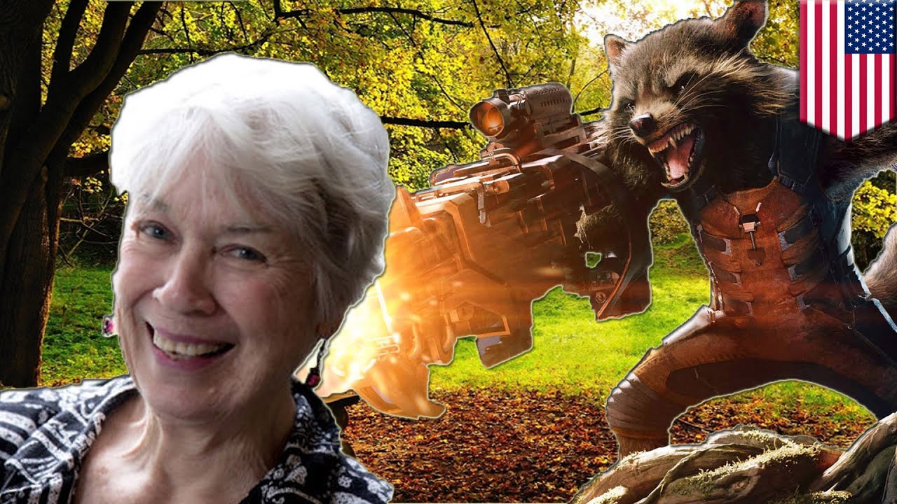 Anciana se defiende y estrangula a mapache rabioso que la mordió en una ...