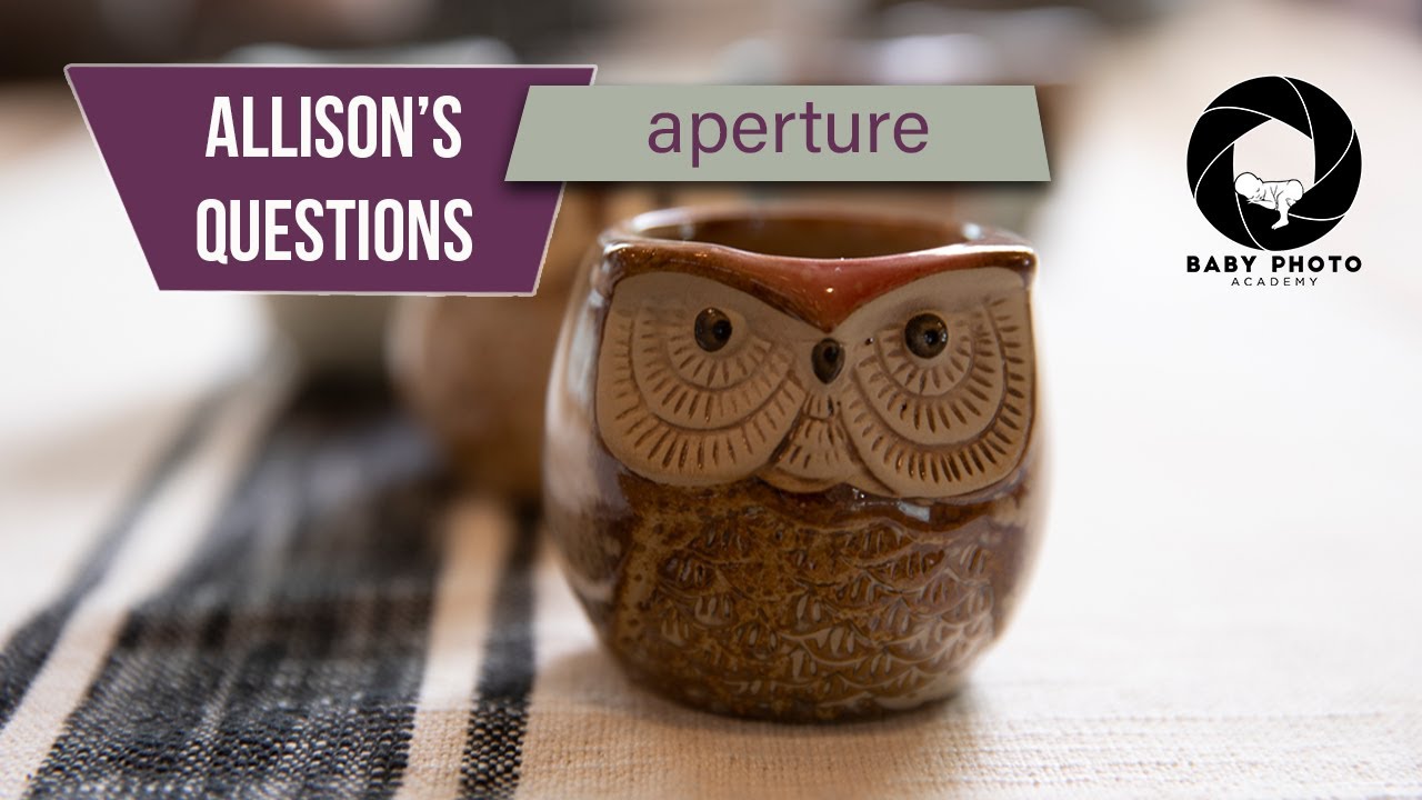Allison's Questions!! Aperture for Beginners - YouTube