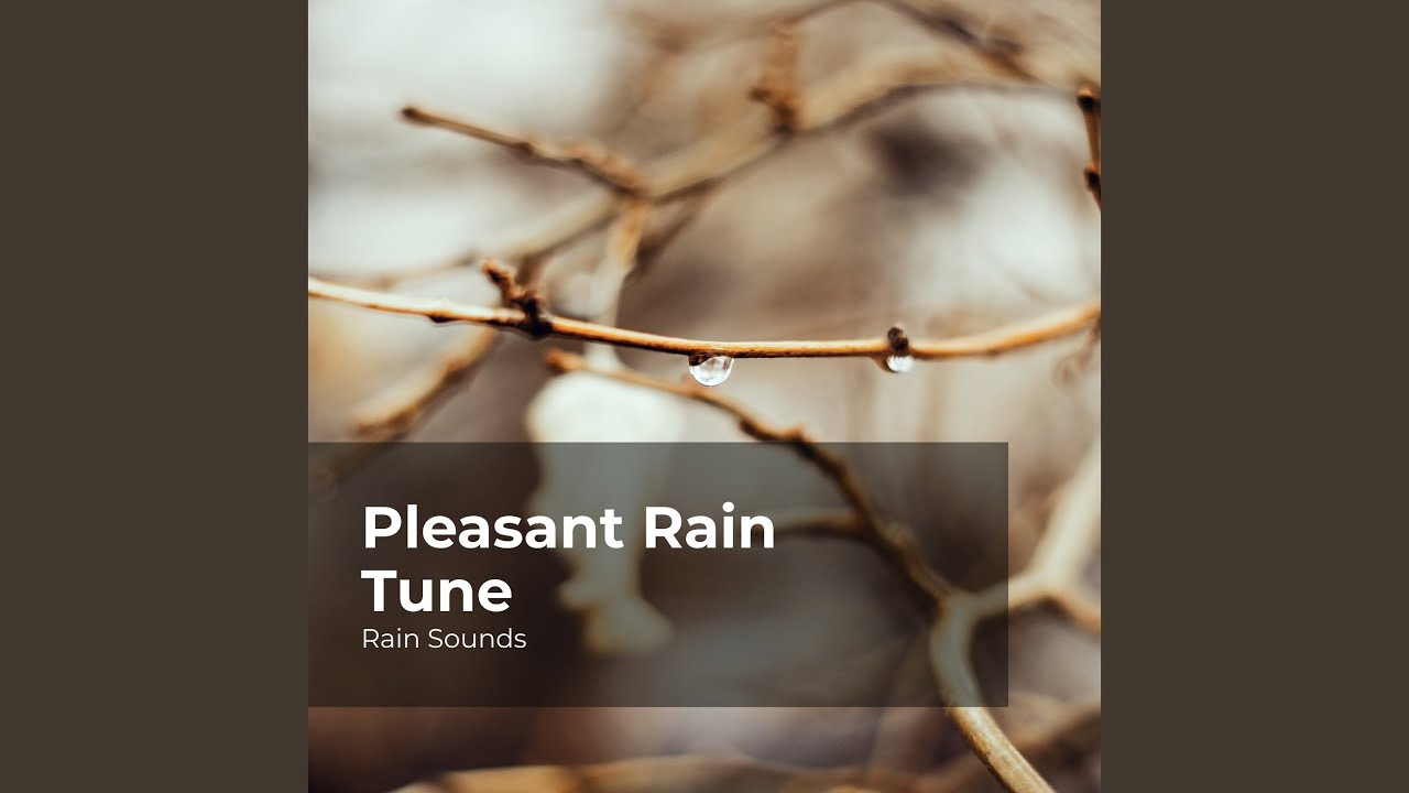 Heartfelt Rain Rhythm - YouTube