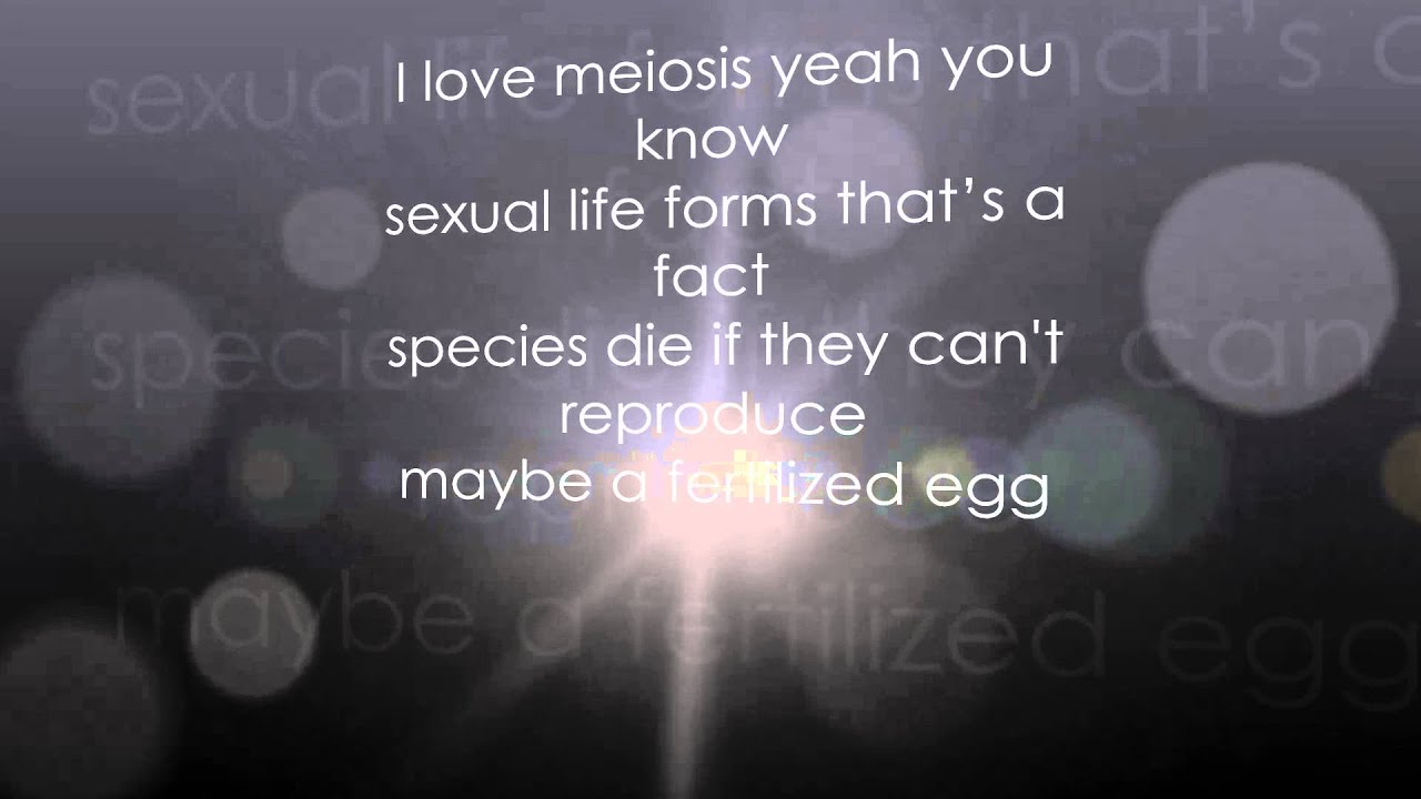 Meiosis song - YouTube