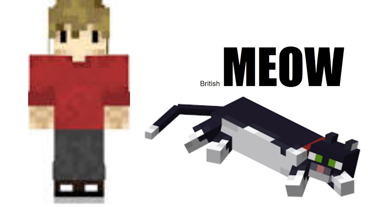 Grian's cat interrupt his recording - YouTube