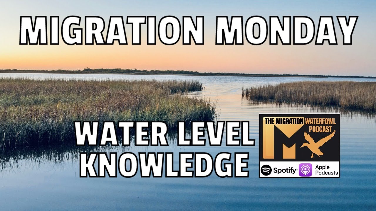 Water Level Knowledge with Jake from Chasing Green Migration Monday Ep ...