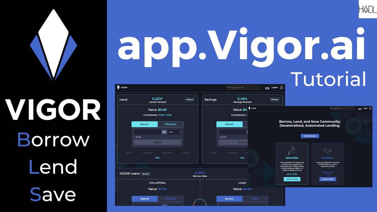 Vigor Protocol App Walk Thru - App.Vigor.ai - YouTube