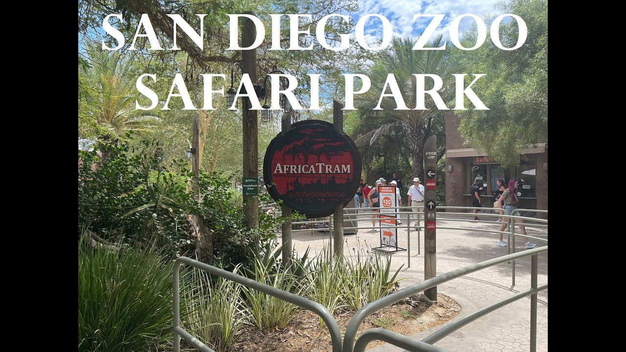 SAN DIEGO SAFARI ZOO AFRICA TRAM RIDE (COMPLETE TOUR) - YouTube