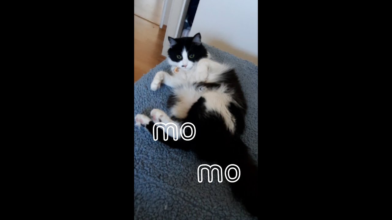 play with m0m0 - YouTube