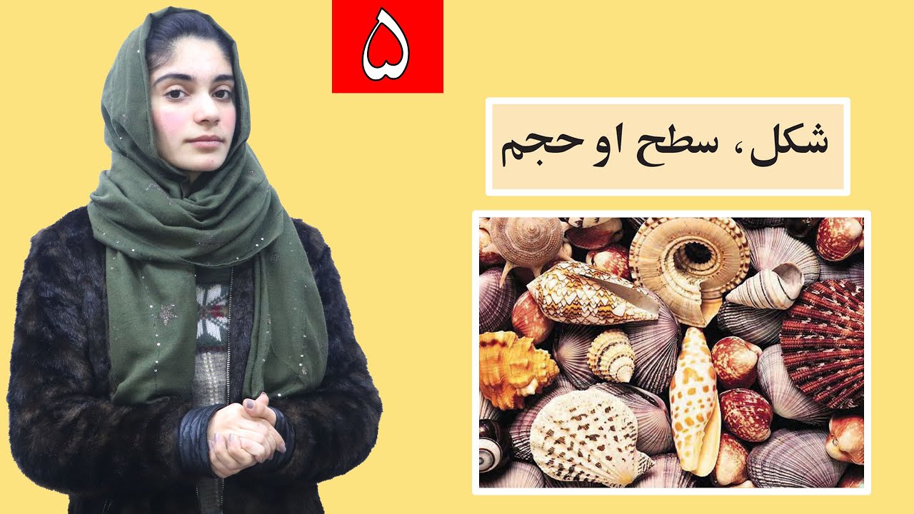 Class 7 - Art Subject | Shape and surface - Lesson 5 | لوست 5 - شکل ...