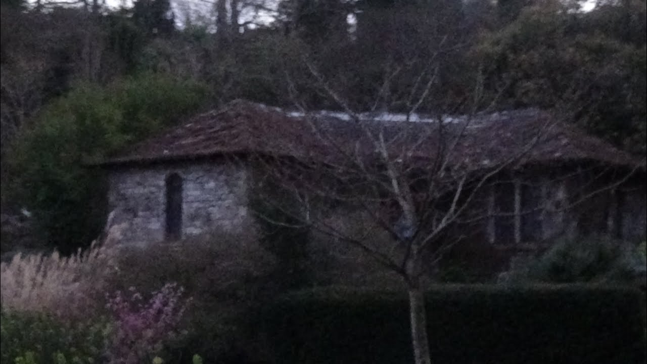 Foxy exploring Preston Rock Gardens in East Sussex, 16th March 2025 ...