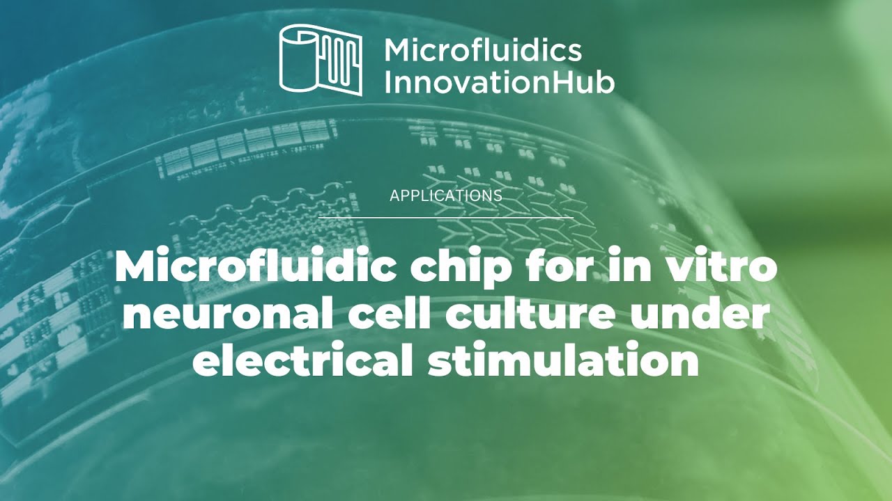 Microfluidic Chip for Neuron Cell Culture and Axon Outgrowth Monitoring ...