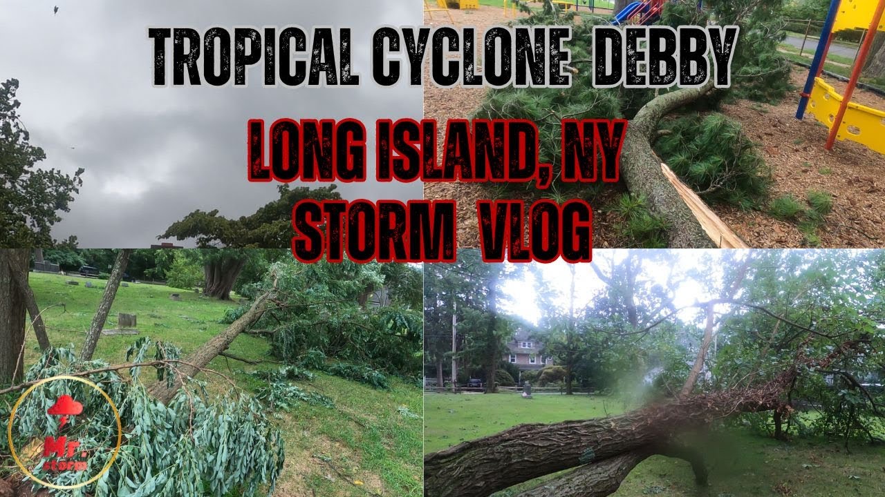 Tropical Cyclone Debby Brings Down Trees on Long Island, NY! - 8/9/24 ...