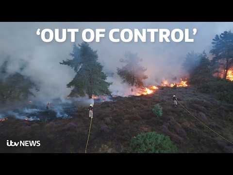 Residents evacuated from path of large wildfire on Suffolk coast