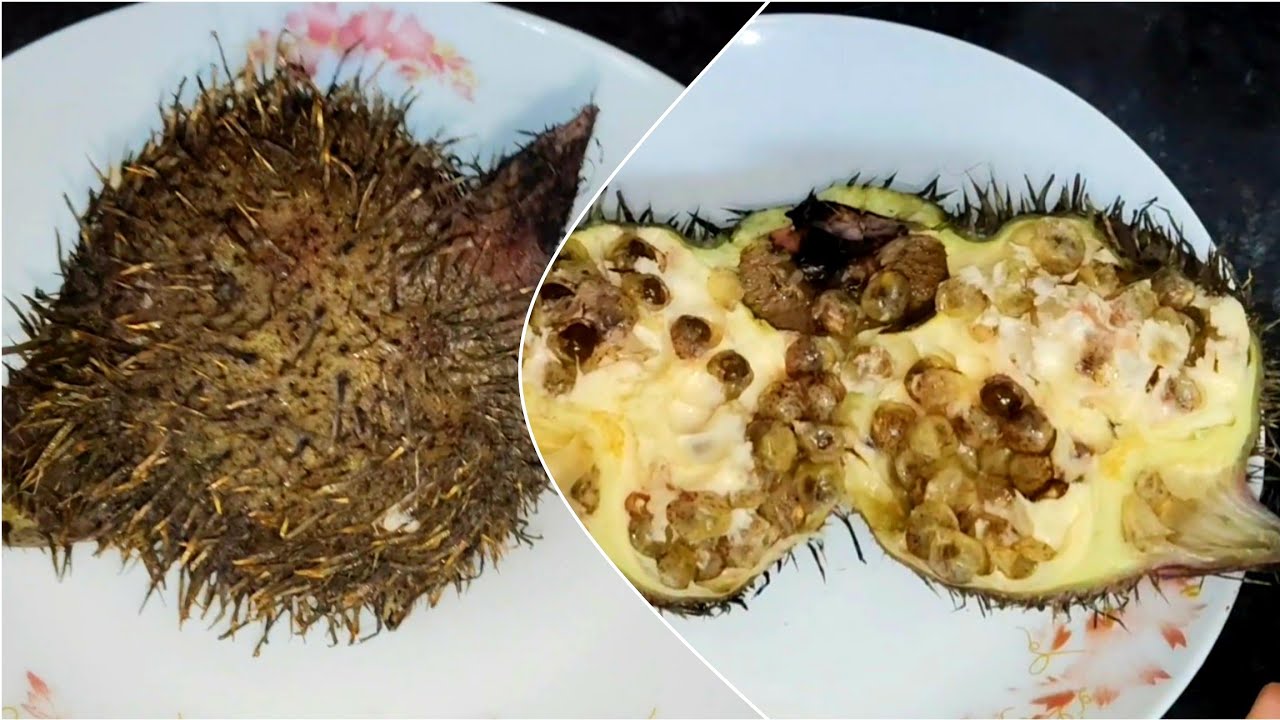 Fox nut recipe 😋 Thangjing metlaga chaba - YouTube