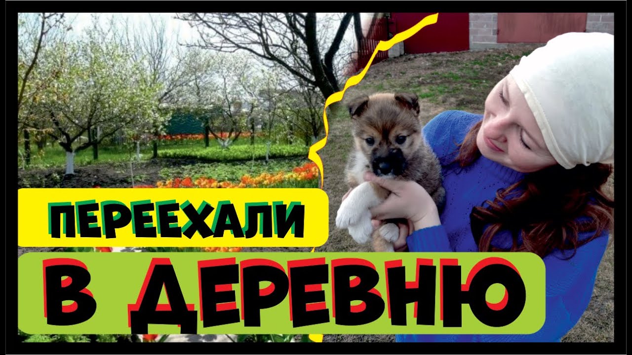 Удивительная ЖИЗНЬ В ДЕРЕВНЕ 🐓🧢 КЛУМБА ЯГОДЫ и СТРОЙКА🍓 Youtube