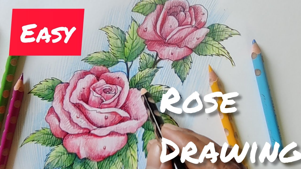 Rose art🌹🌹/Rose Drawing /Flower art /Easy rose painting #rose - YouTube