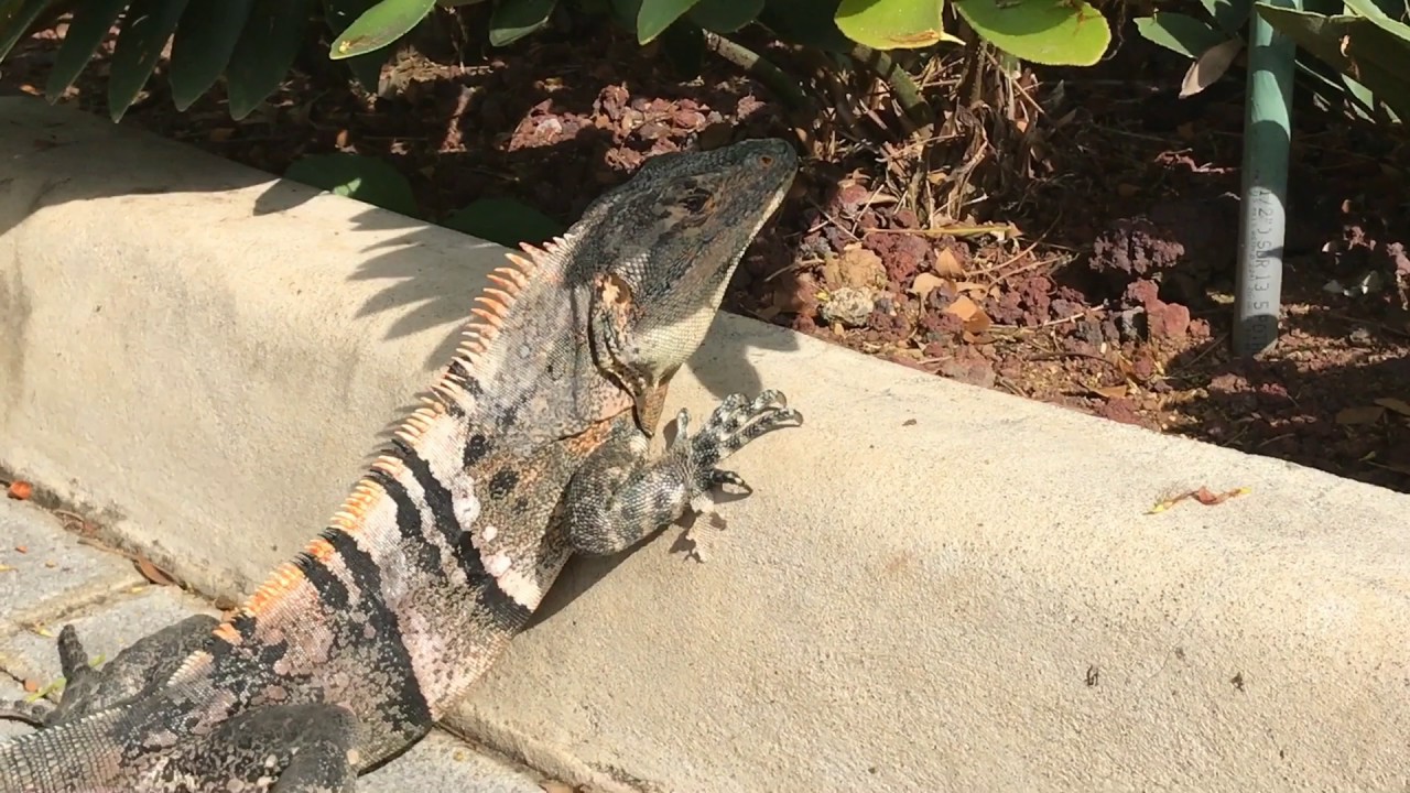 Pure Elation Retreat - Jim Rohr Jennifer Pansa - Mukul 2016 - YouTube