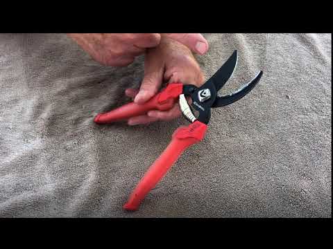 How To Sharpen Gardening Pruner Shears