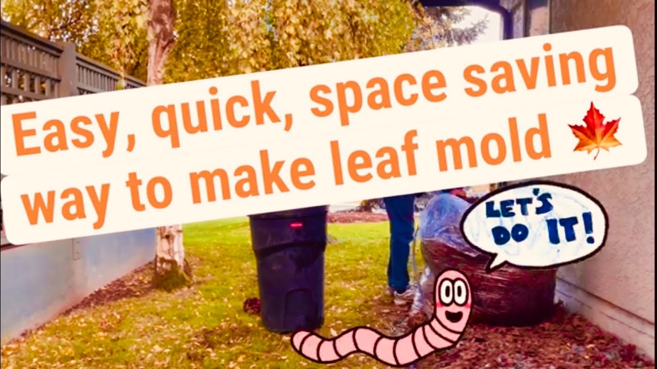 Easy, quick, space saving way to make leaf mold - YouTube