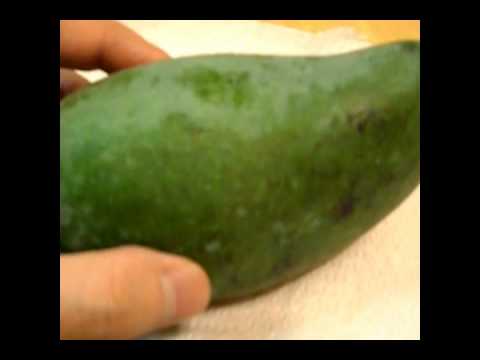 How to eat and prepare a green mango mangoes fruit Review tutorial ...