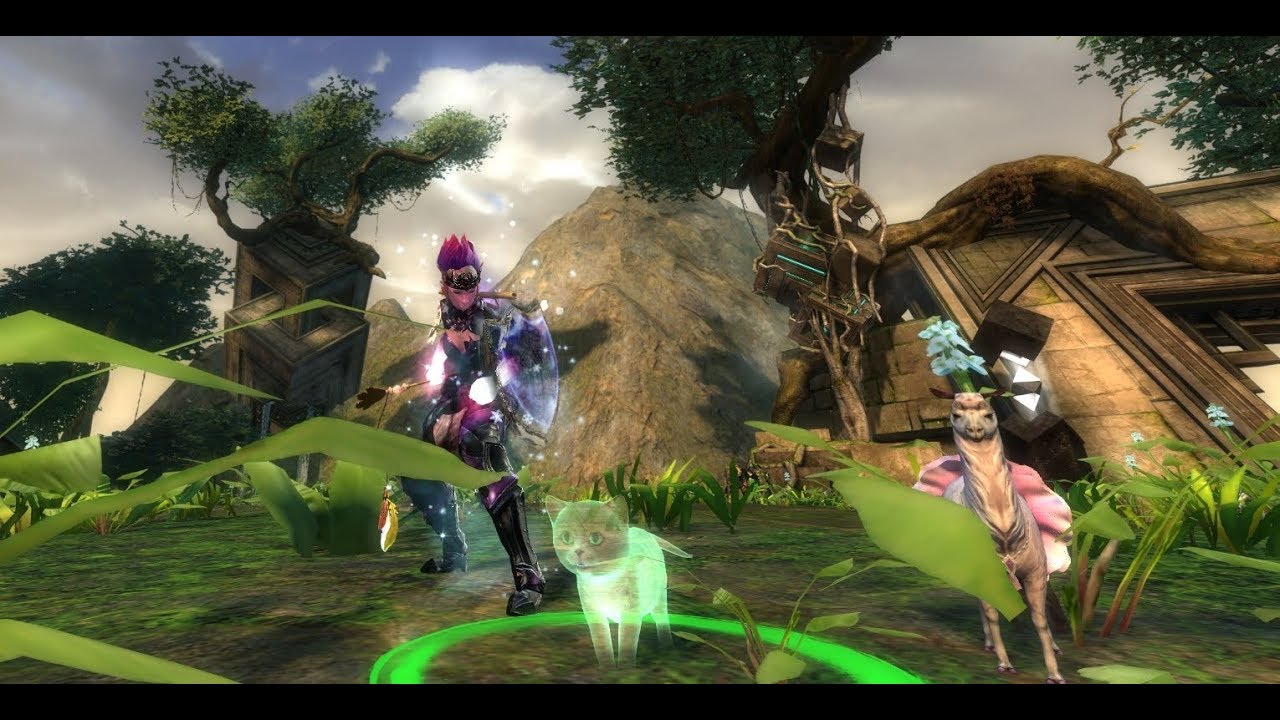 Gw2 Holographic Kitten for the home instance - YouTube