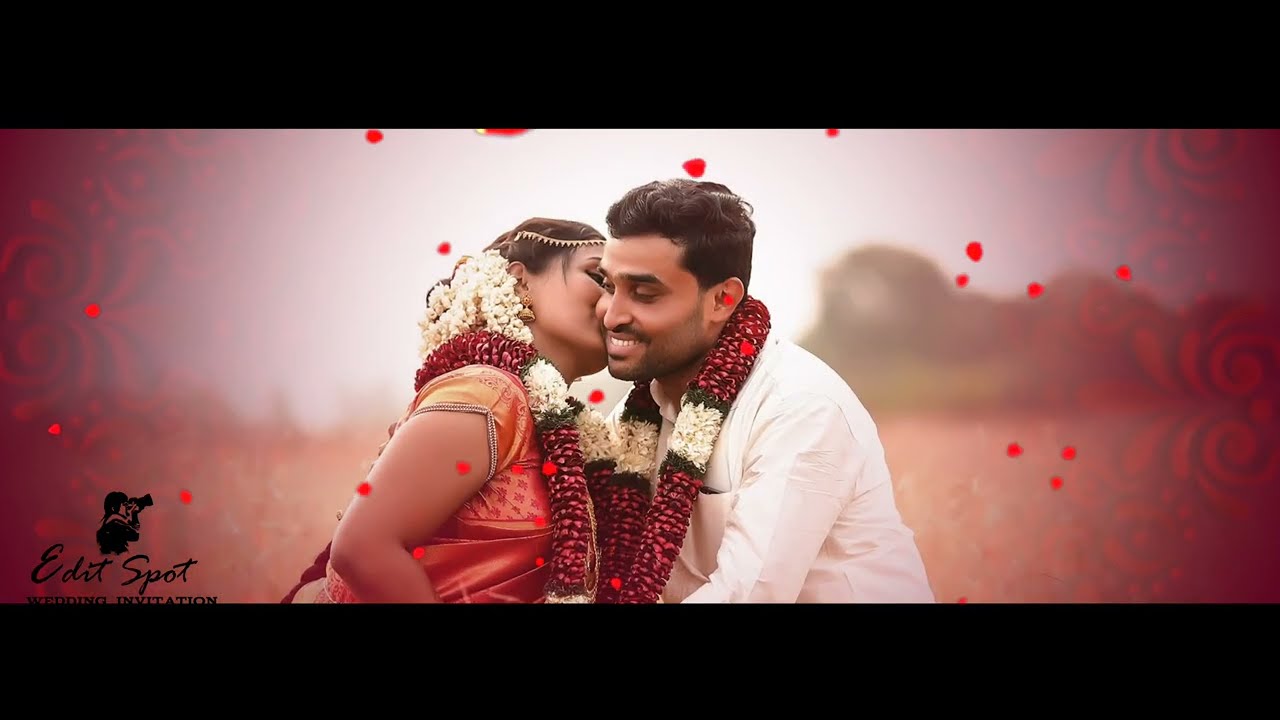 New Best wedding invitation 4k (template 63) - YouTube