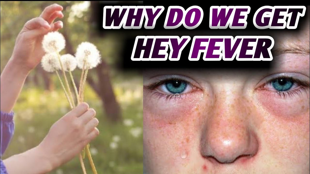 hey fever || allergic rhinitis || my lifetime info - YouTube