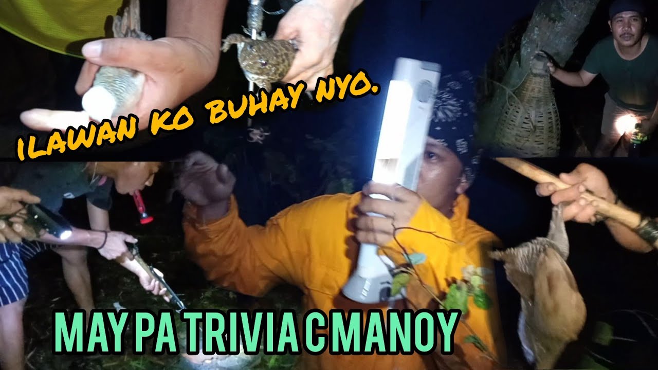 pamamaraan kong paano mang huli ng palakang bukid/bullfrog(night frog ...