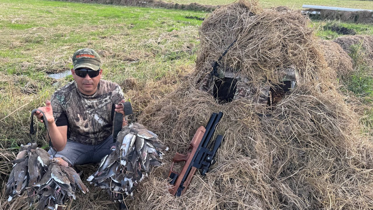 Hunting and cooking white winged Dove in DR 🇩🇴 - YouTube