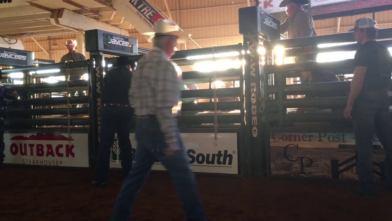 Mutton Bustin' 2019 Nacogdoches Rodeo - Night One - YouTube
