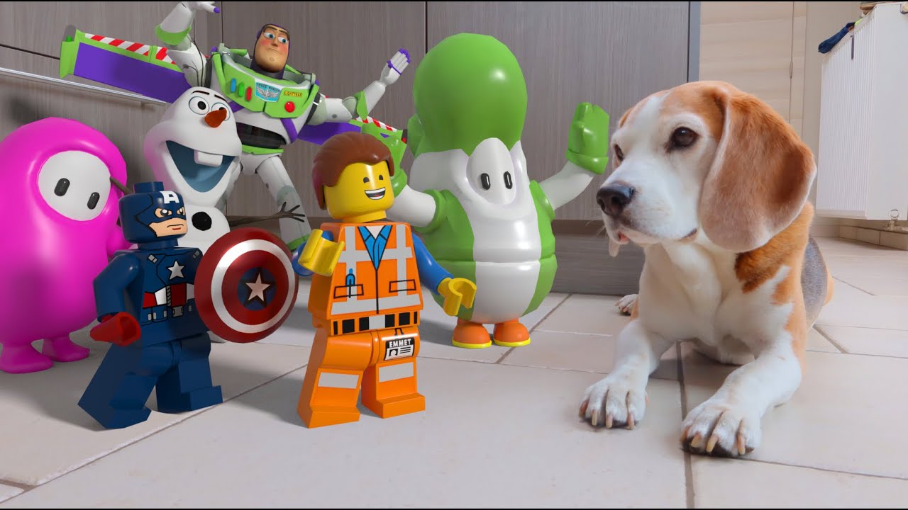 Real Life Fall Guys Animation vs Funny Dogs Compilation - YouTube