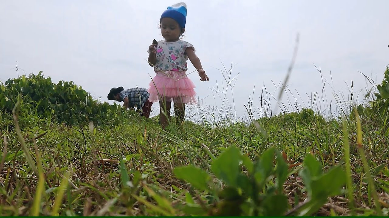 BERMAIN DI KEBUN MERICA TEPI SAWAH || DAMAINYA PEDESAAN - YouTube