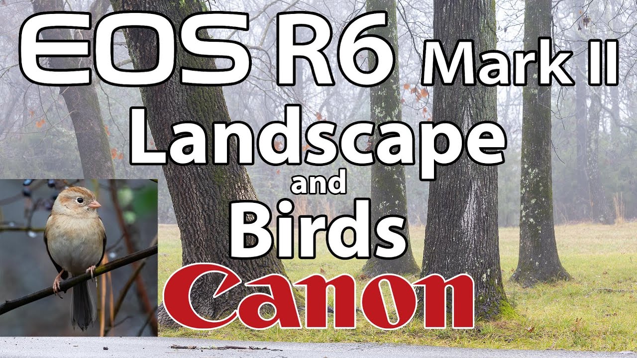 Canon R6 Mark II Landscape & Bird Photography Adventure! - YouTube