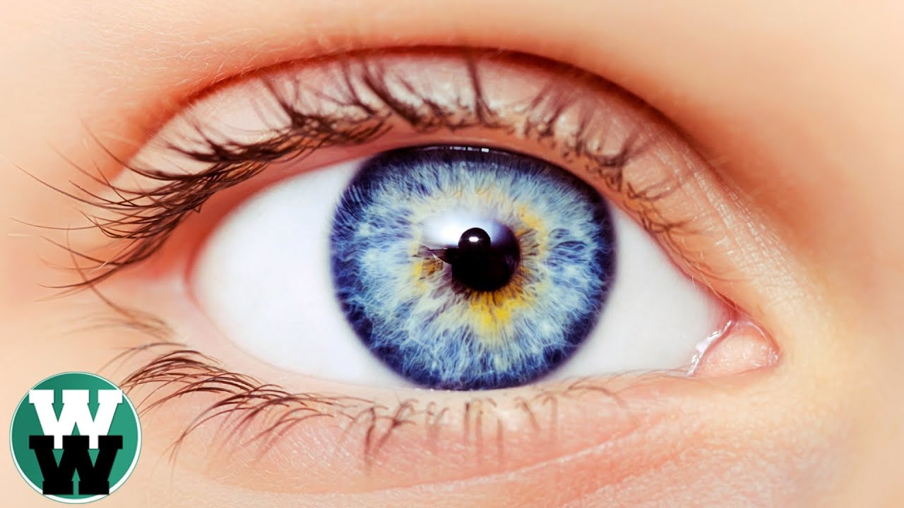 30 Amazing Facts You Didn't Know About The Human Body - YouTube